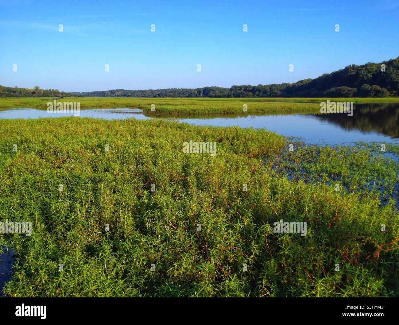 Orx france hi-res stock photography and images - Alamy