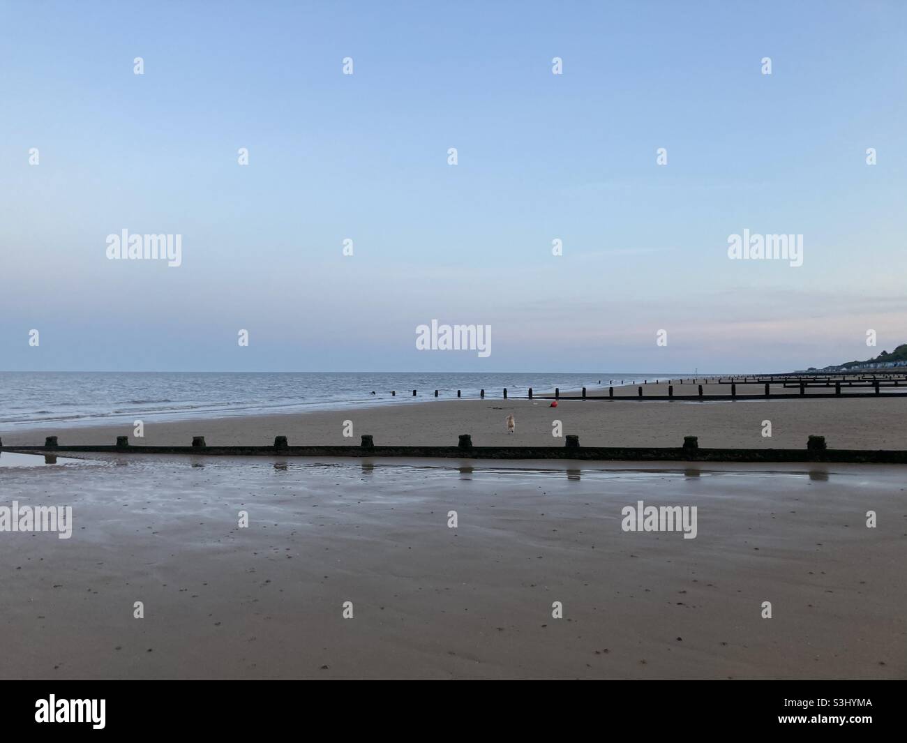 Groins on beach hi-res stock photography and images - Alamy
