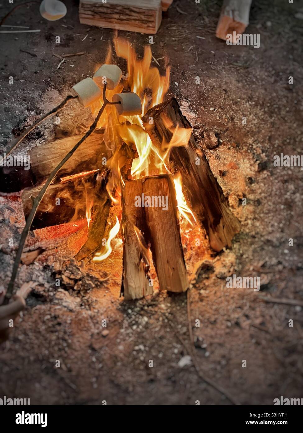 Campfire and marshmallow hi-res stock photography and images - Alamy