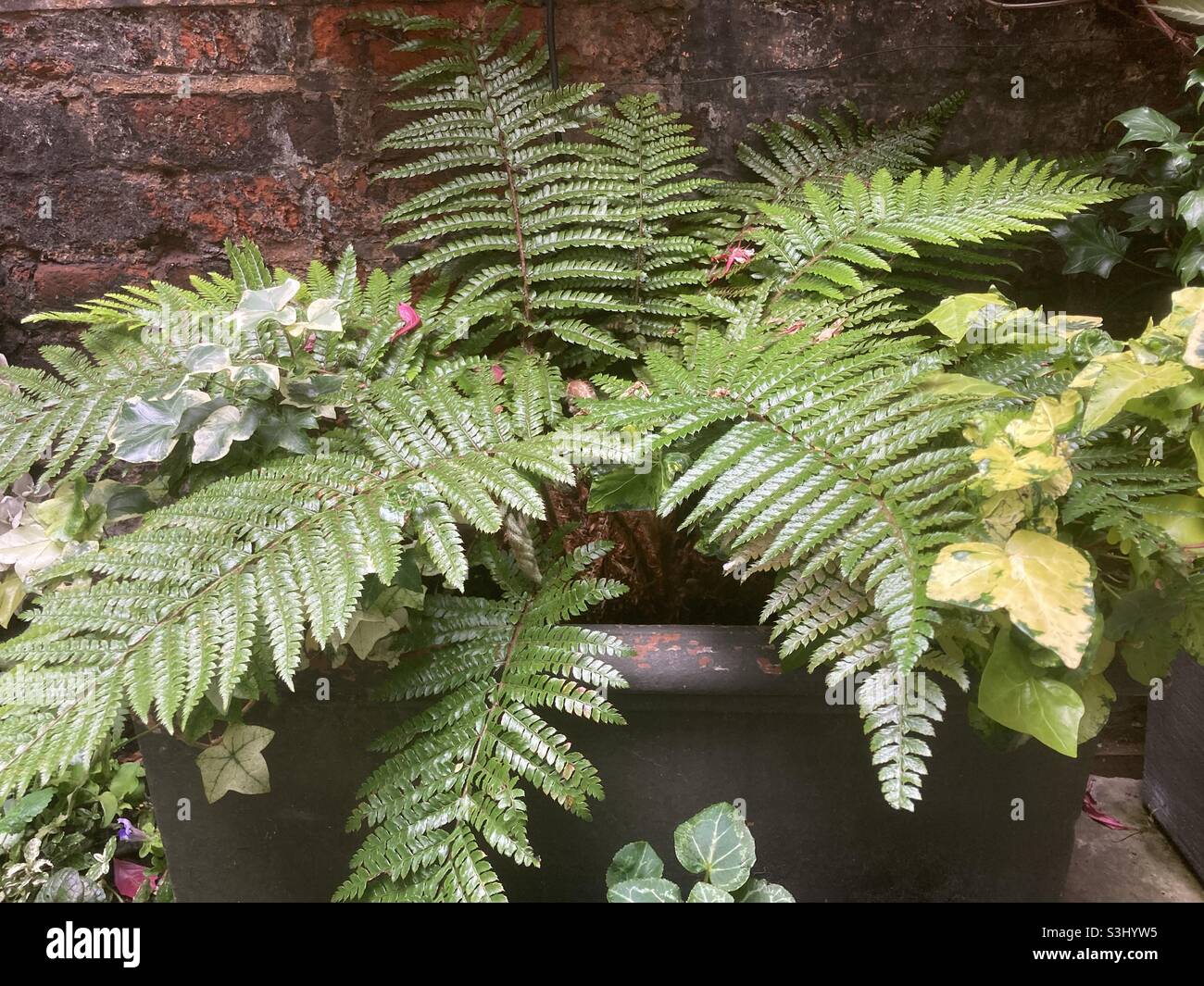 Courtyard corner hi-res stock photography and images - Alamy