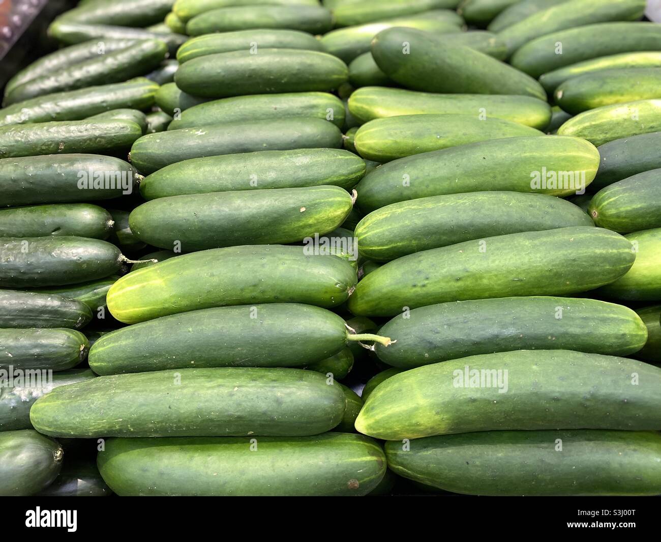 Cucumbers at the grocery store Stock Photo - Alamy
