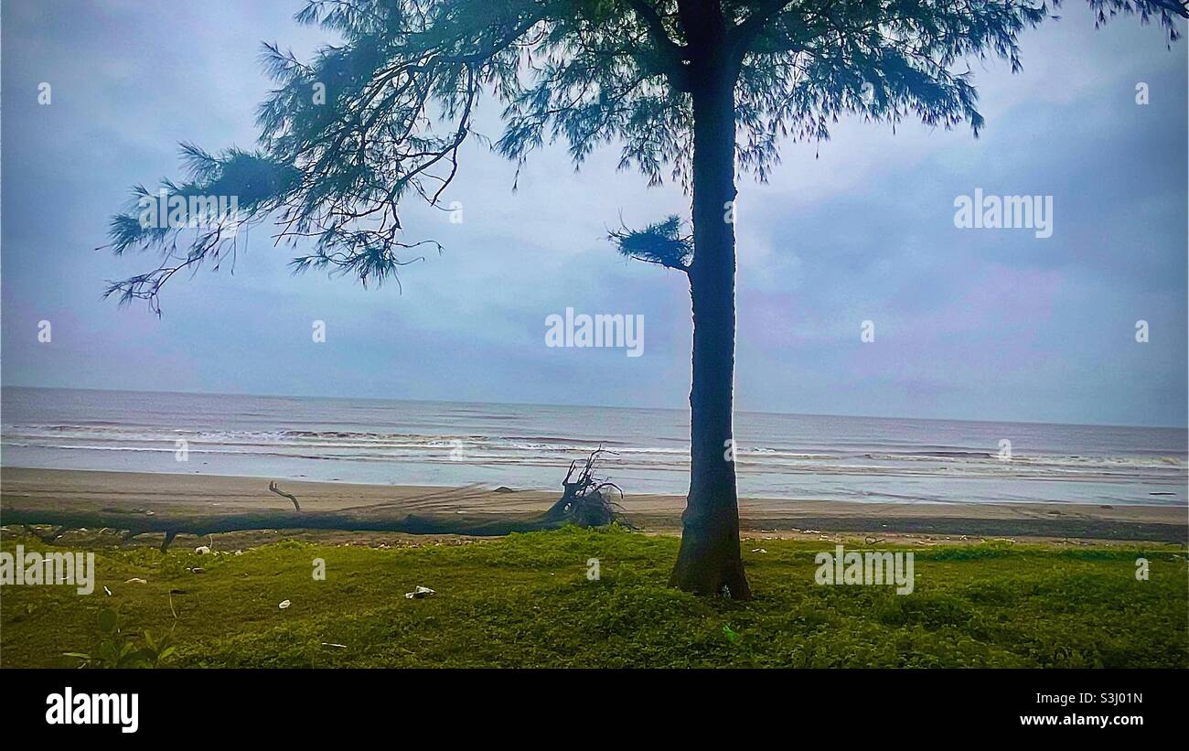 Beachfront and sea grass hi-res stock photography and images - Alamy
