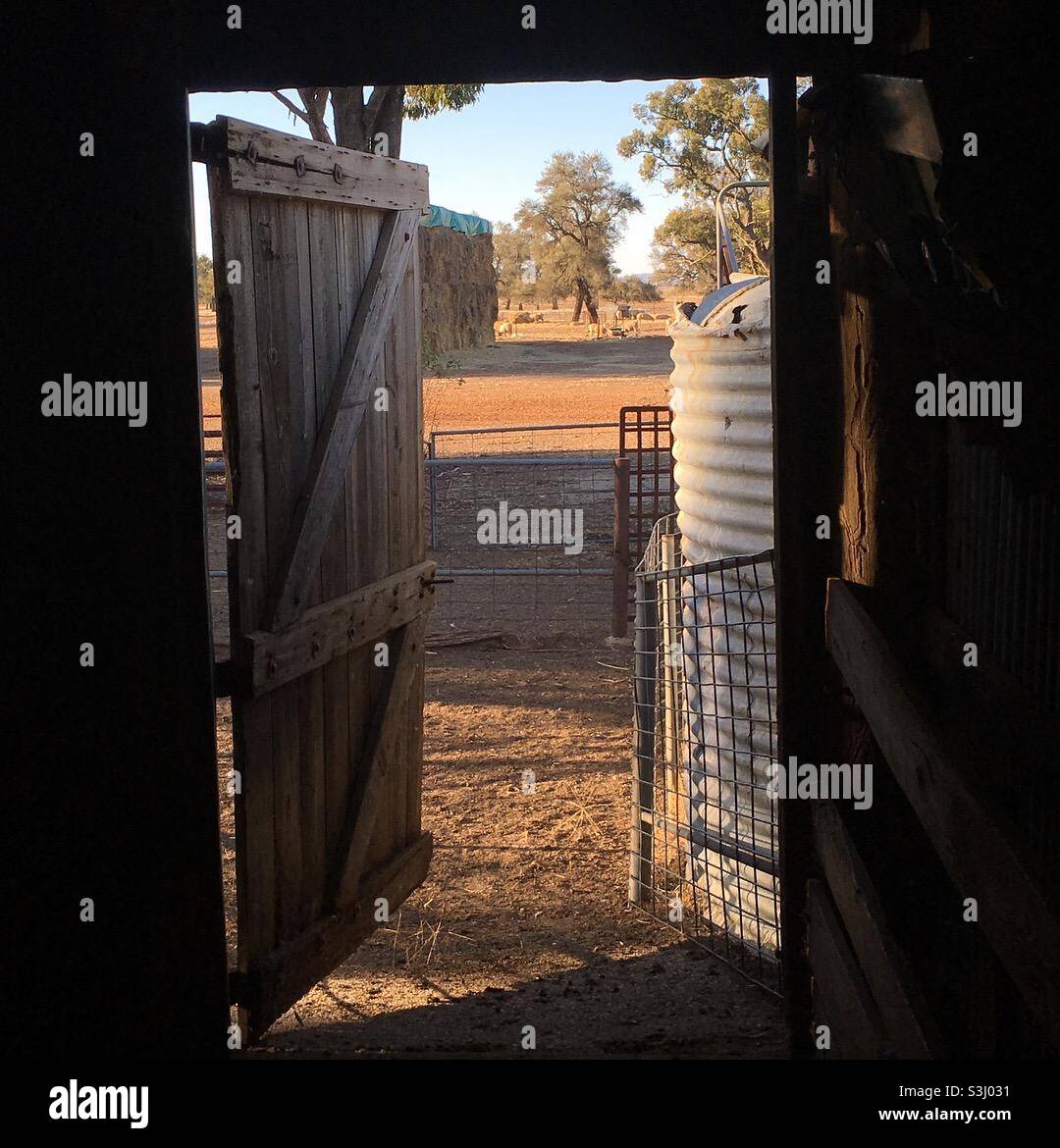 View from the shearing shed looking out toward the hay shed, water tank ...