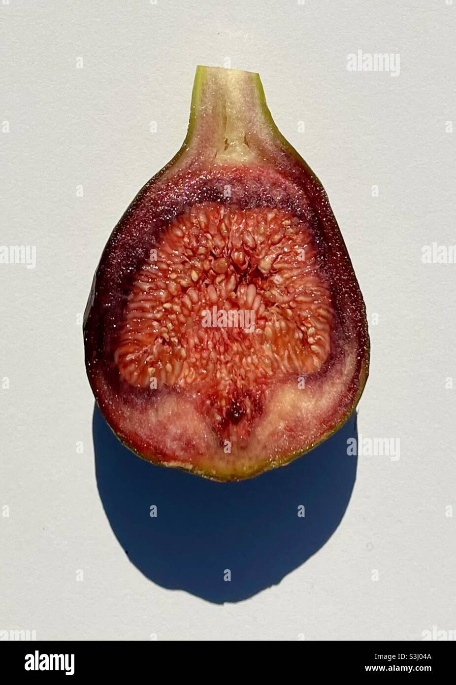 Brown Turkey Fig High Resolution Stock Photography and Images - Alamy
