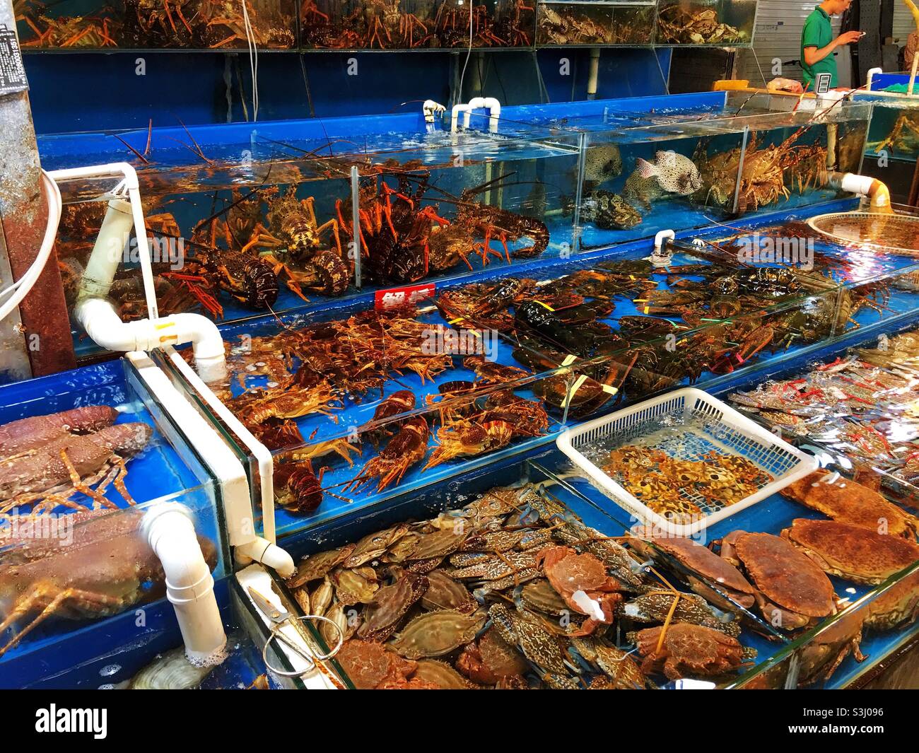 Alive seafood in the Beijing seafood market Stock Photo - Alamy