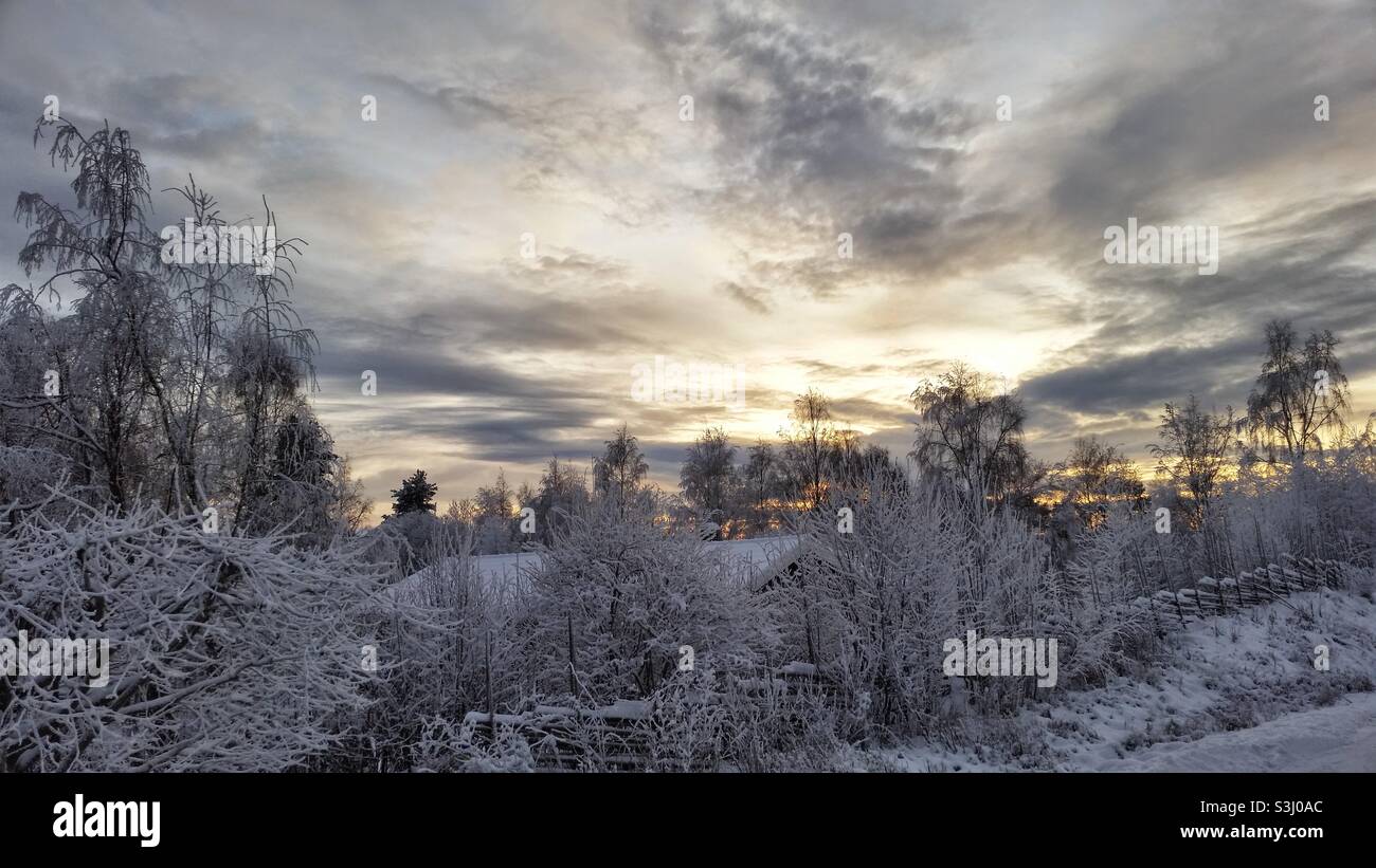 Beauty of sweden hi-res stock photography and images - Alamy