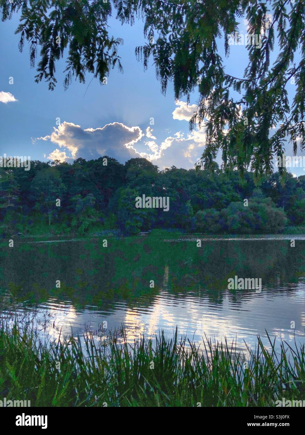 A peaceful forest and pond landscape Stock Photo - Alamy