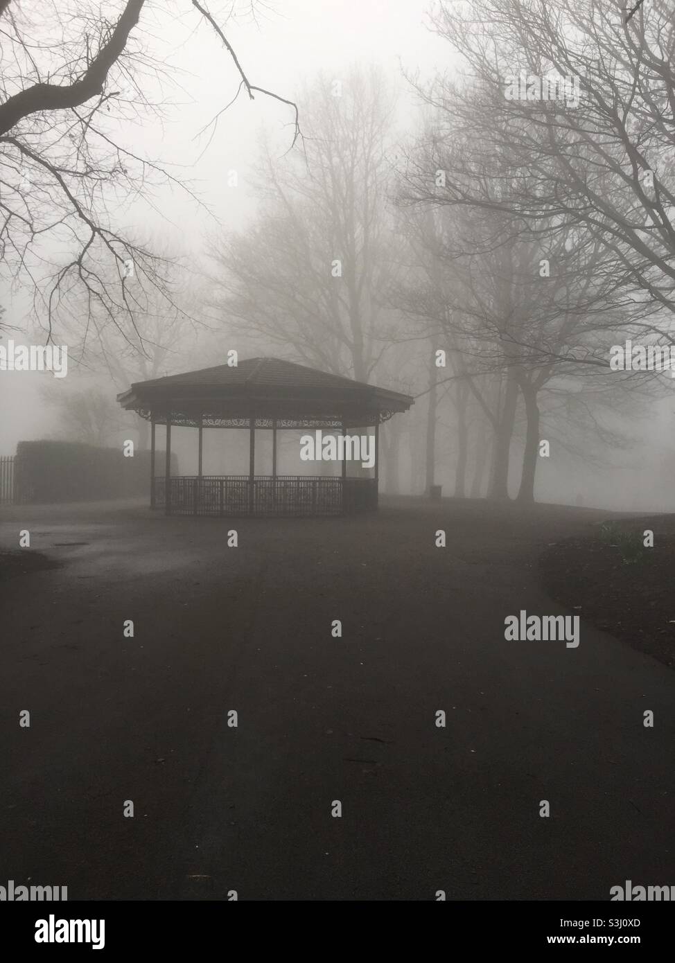 Bandstand with trees hi-res stock photography and images - Alamy