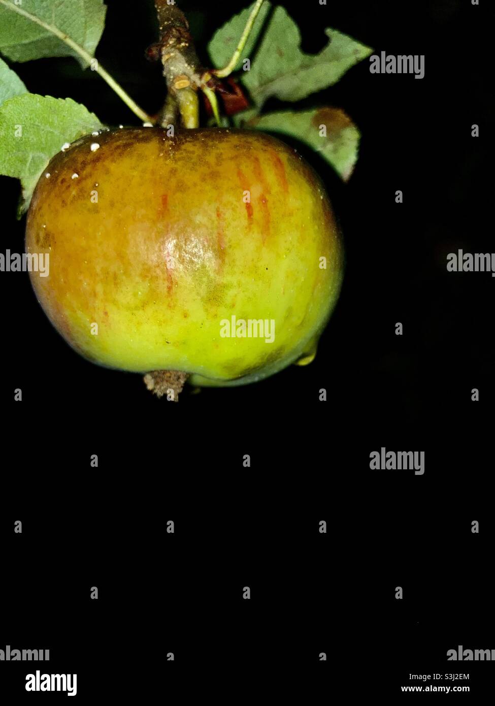 Apple at night Stock Photo - Alamy