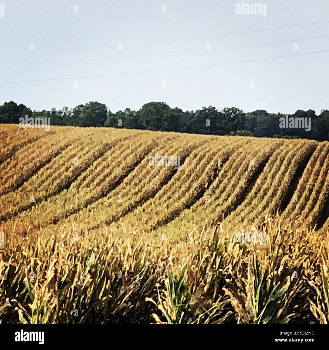 Midwest harvest hi-res stock photography and images - Alamy