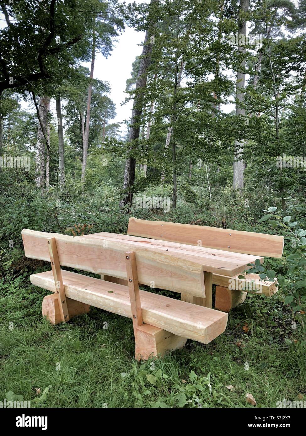 Wooden bench forest hi-res stock photography and images - Alamy