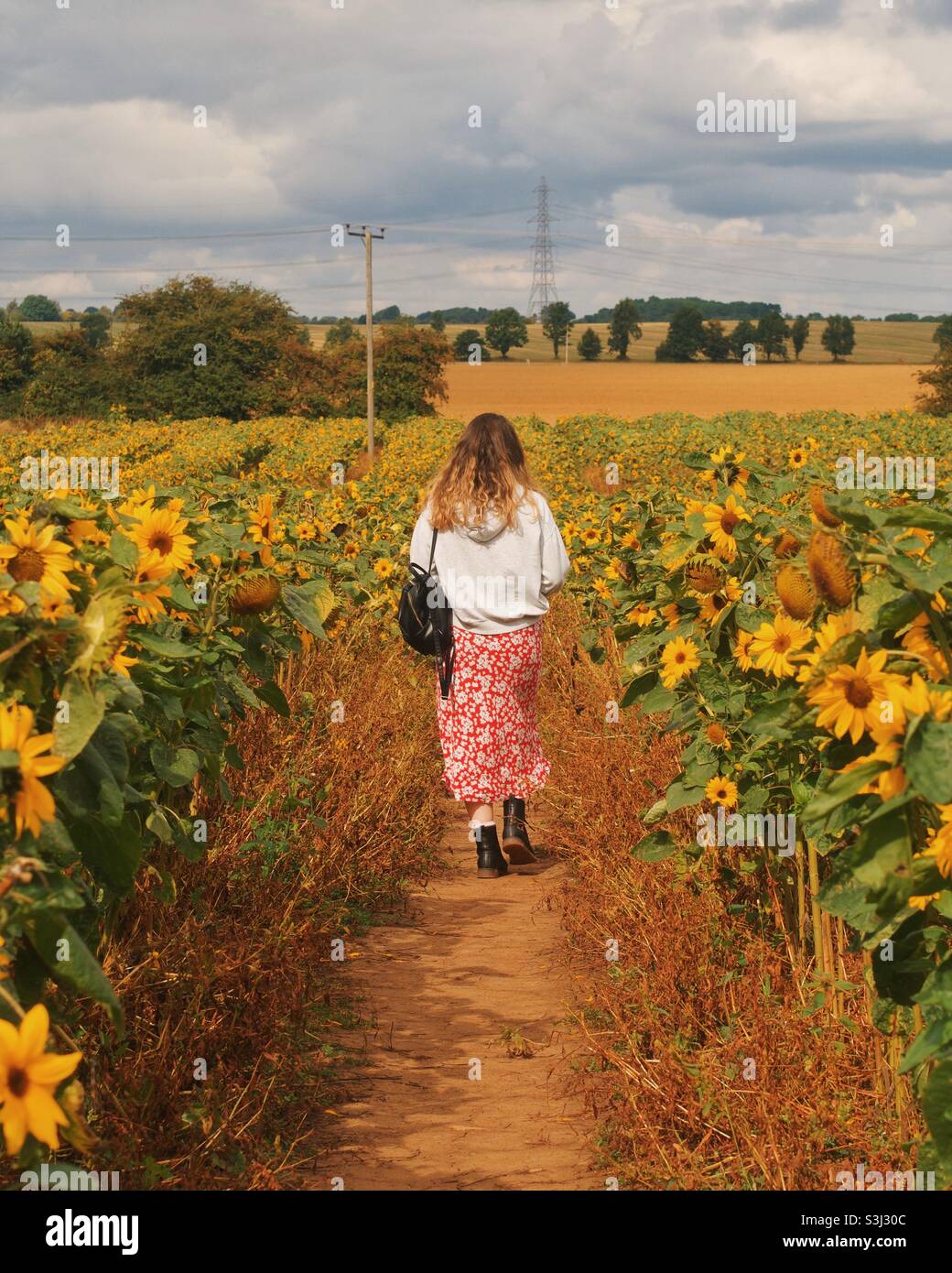 Girl walking through sunflower field hi-res stock photography and ...