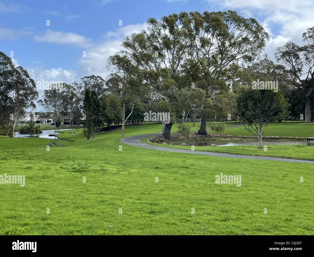 Nature profile hi-res stock photography and images - Alamy