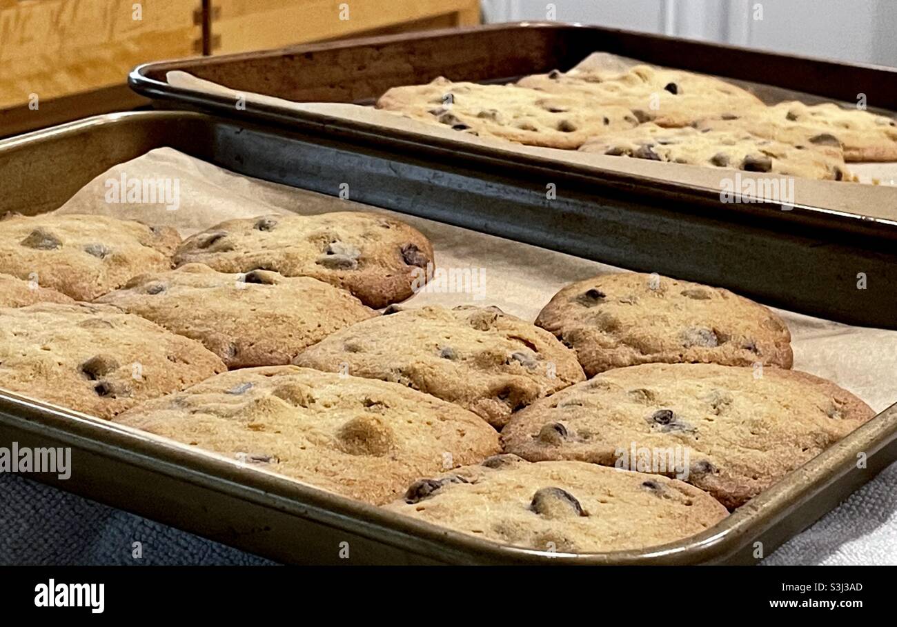 Baking Trays High Resolution Stock Photography and Images - Alamy