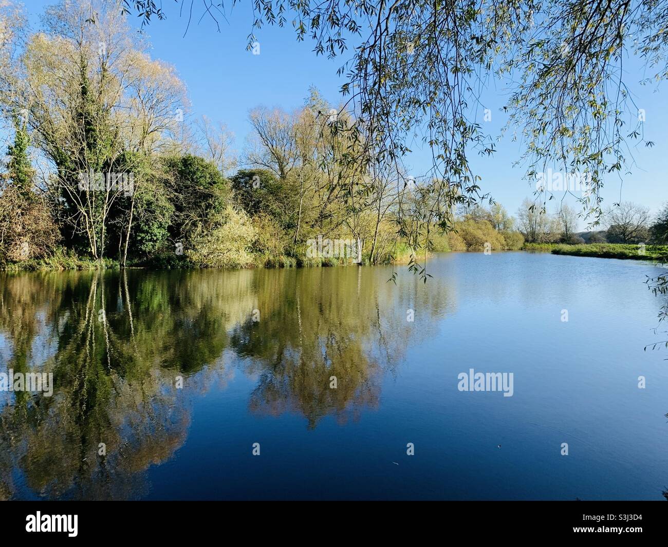 Bright summers hi-res stock photography and images - Alamy