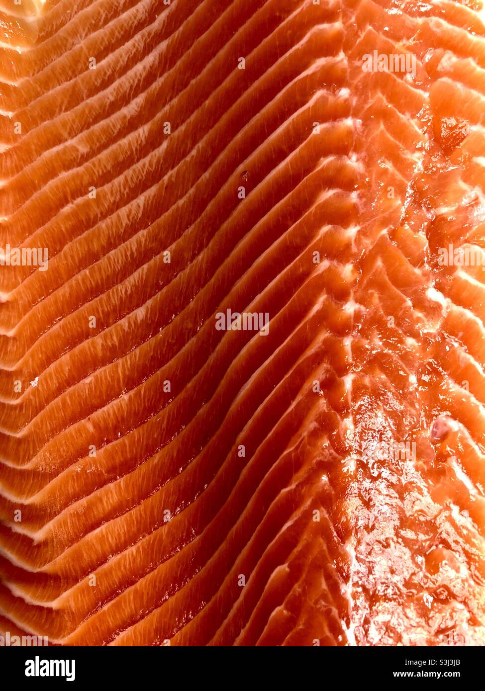 Abstract salmon hi-res stock photography and images - Alamy