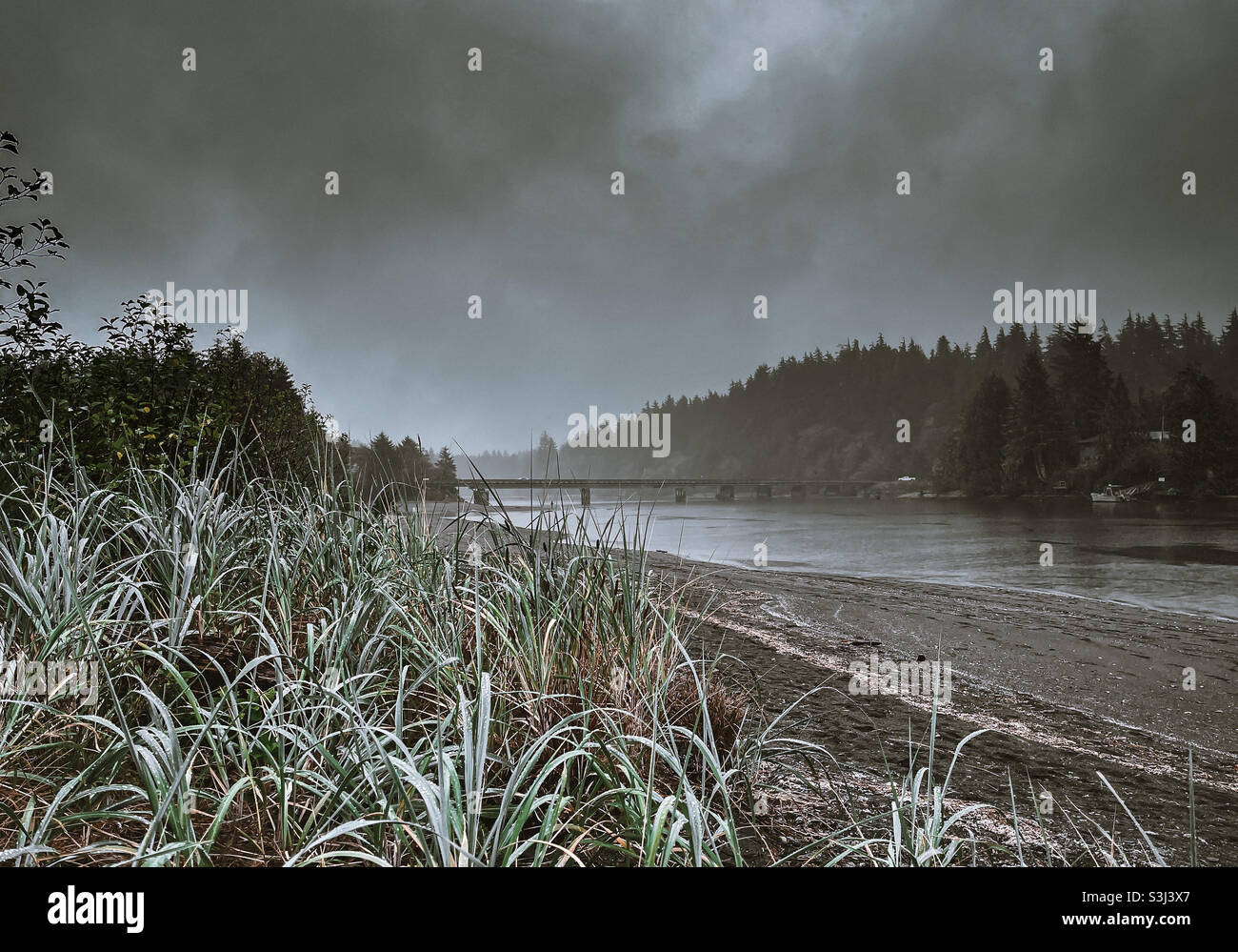 Port renfrew vancouver island hi-res stock photography and images - Alamy