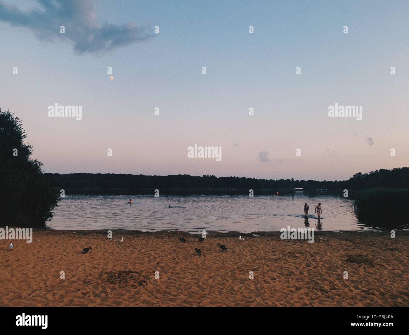 Frensham beach hi-res stock photography and images - Alamy
