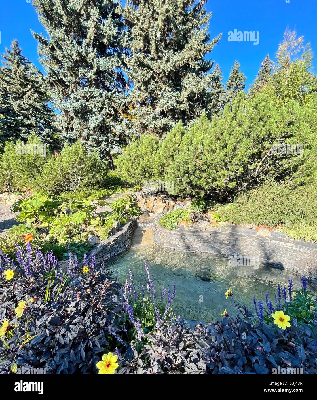 Senator patrick burns formal gardens hi-res stock photography and ...