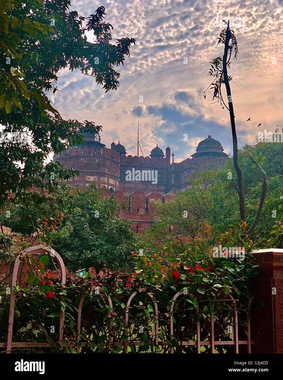 Dilli dilli hi-res stock photography and images - Alamy