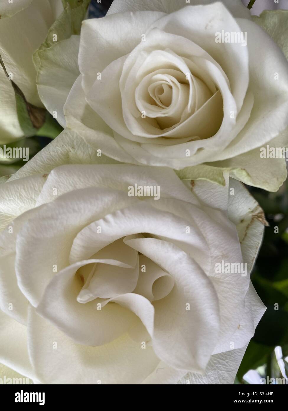 Weddings bouquets hi-res stock photography and images - Alamy