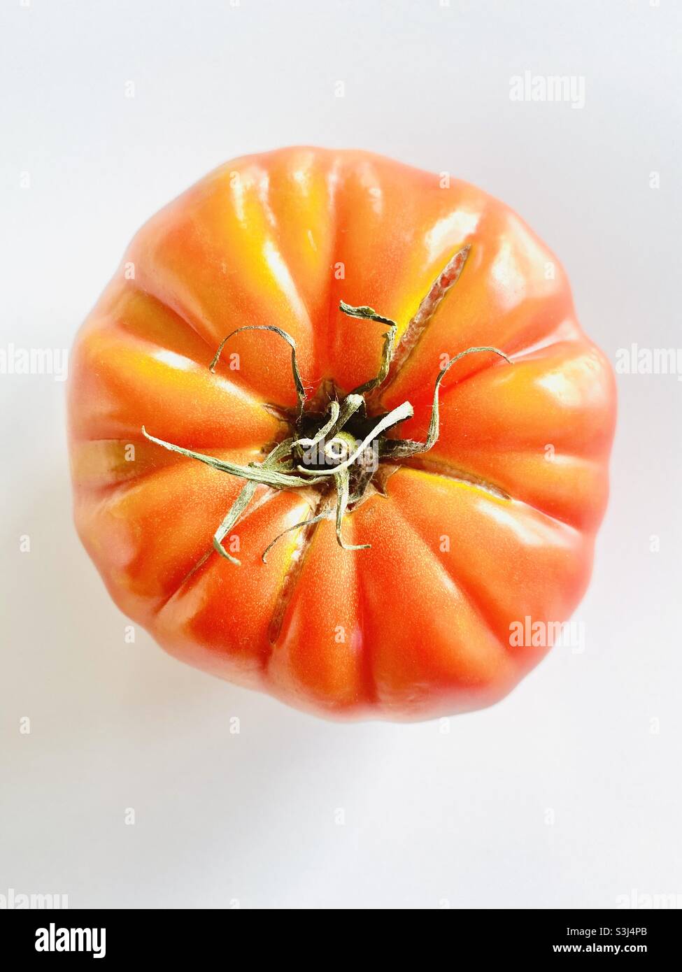 Heirloom tomato white background hi-res stock photography and images ...