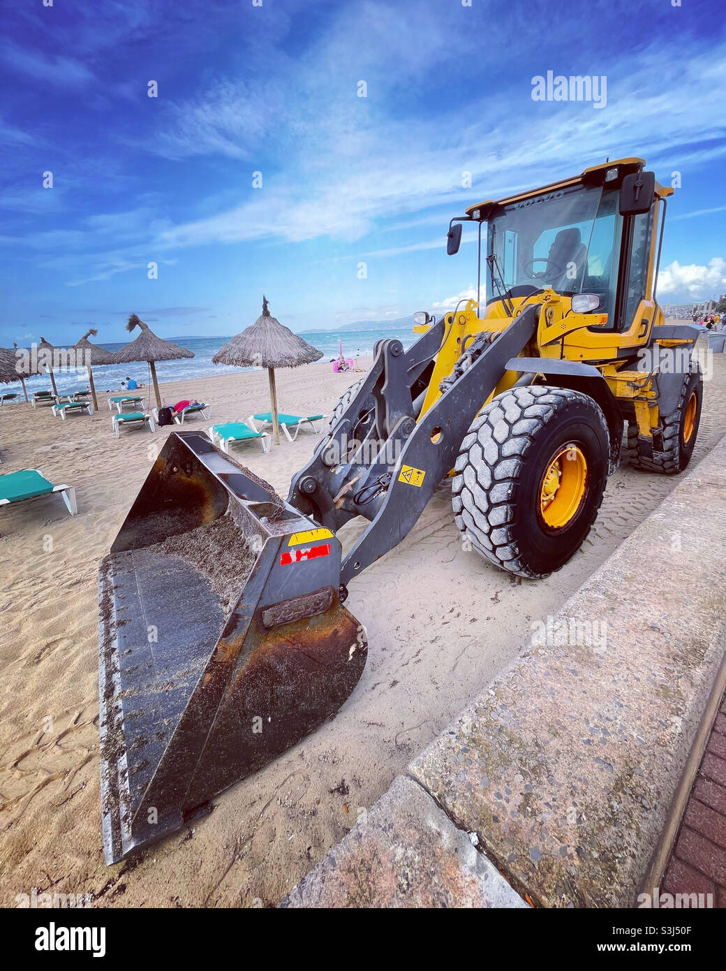 Hard Working on the Beach Stock Photo - Alamy