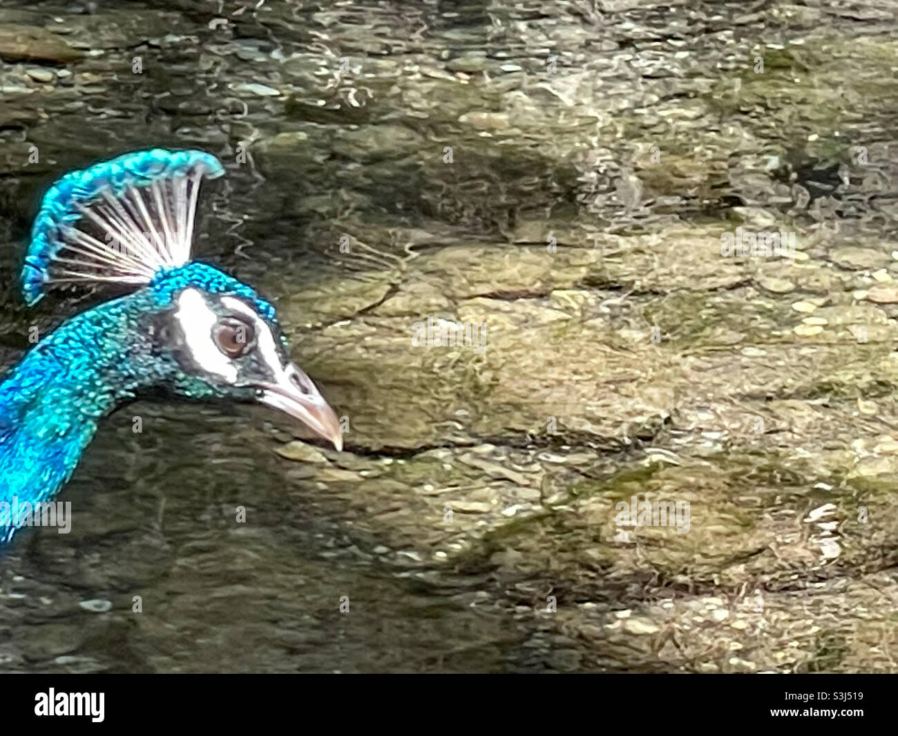 Light thinking hi-res stock photography and images - Alamy