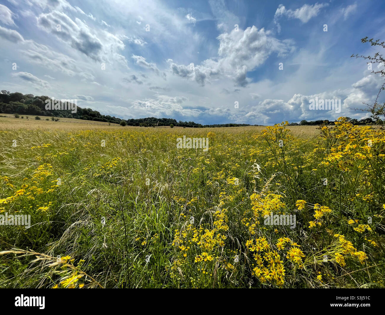 English summery clouds hi-res stock photography and images - Alamy