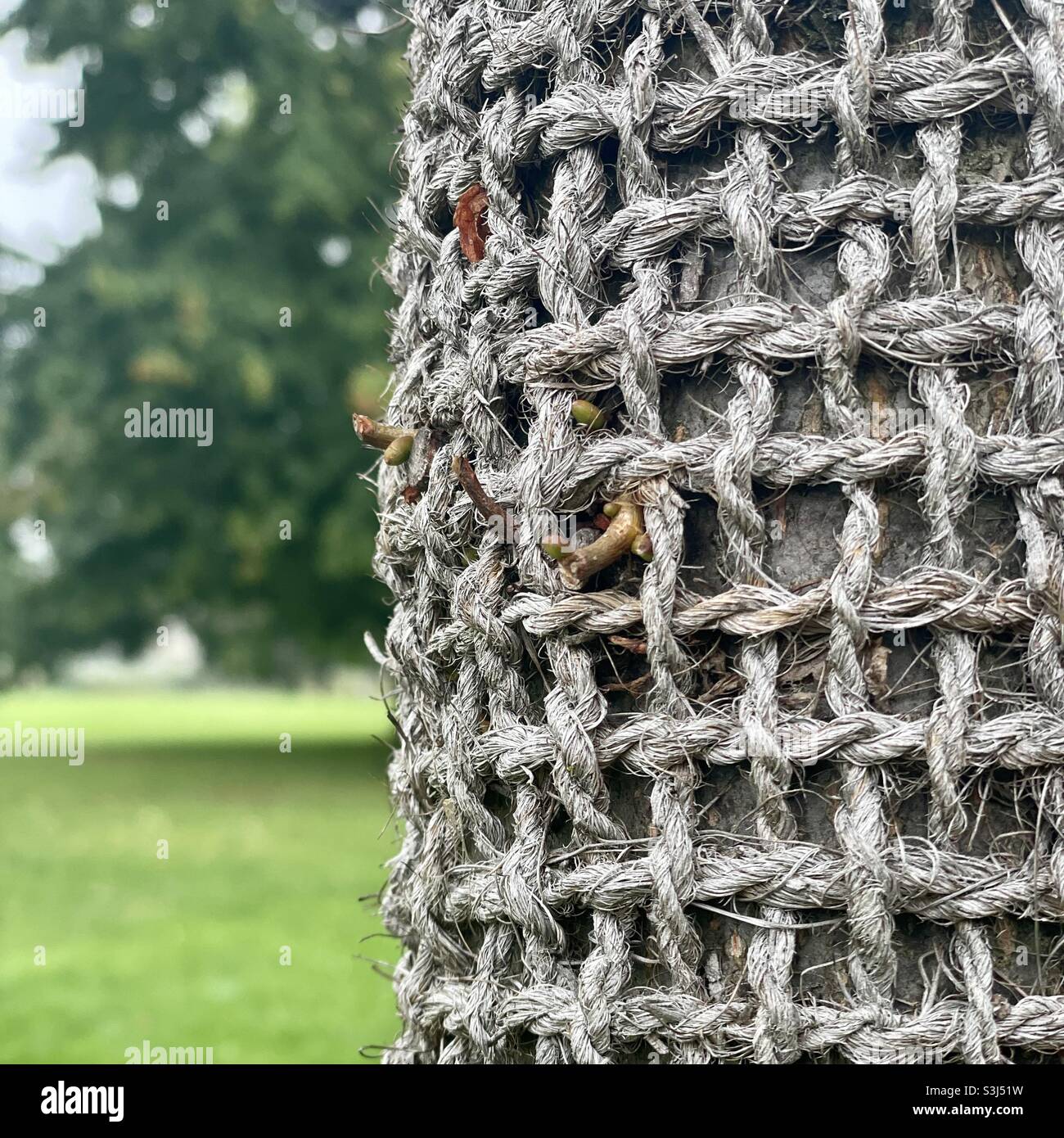 Hangging hi-res stock photography and images - Alamy