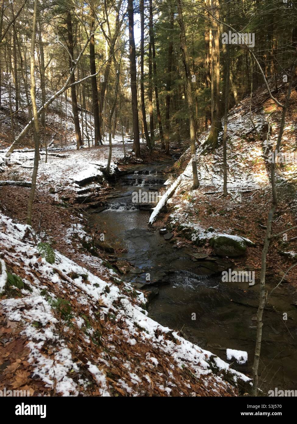 Winter snow snowy trees stream water hi-res stock photography and ...