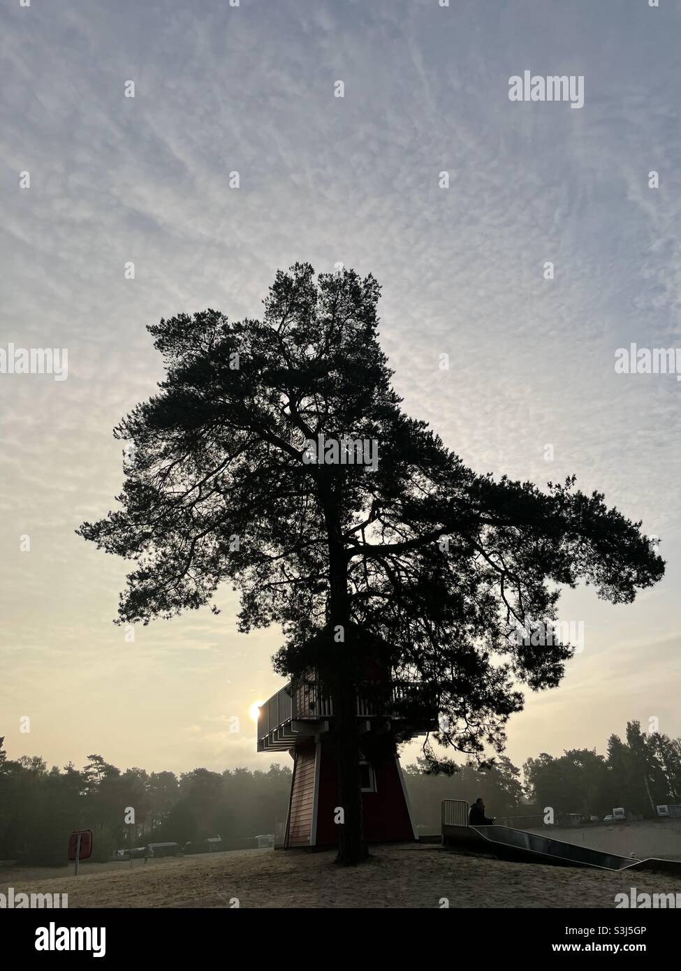 Lighthouse tree hi-res stock photography and images - Alamy