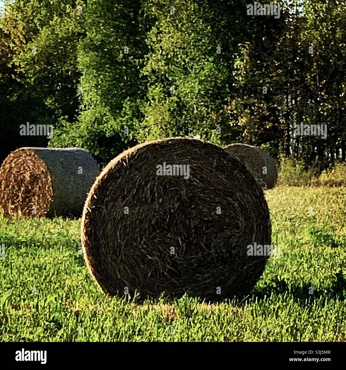 Hay stacks monet hi-res stock photography and images - Alamy