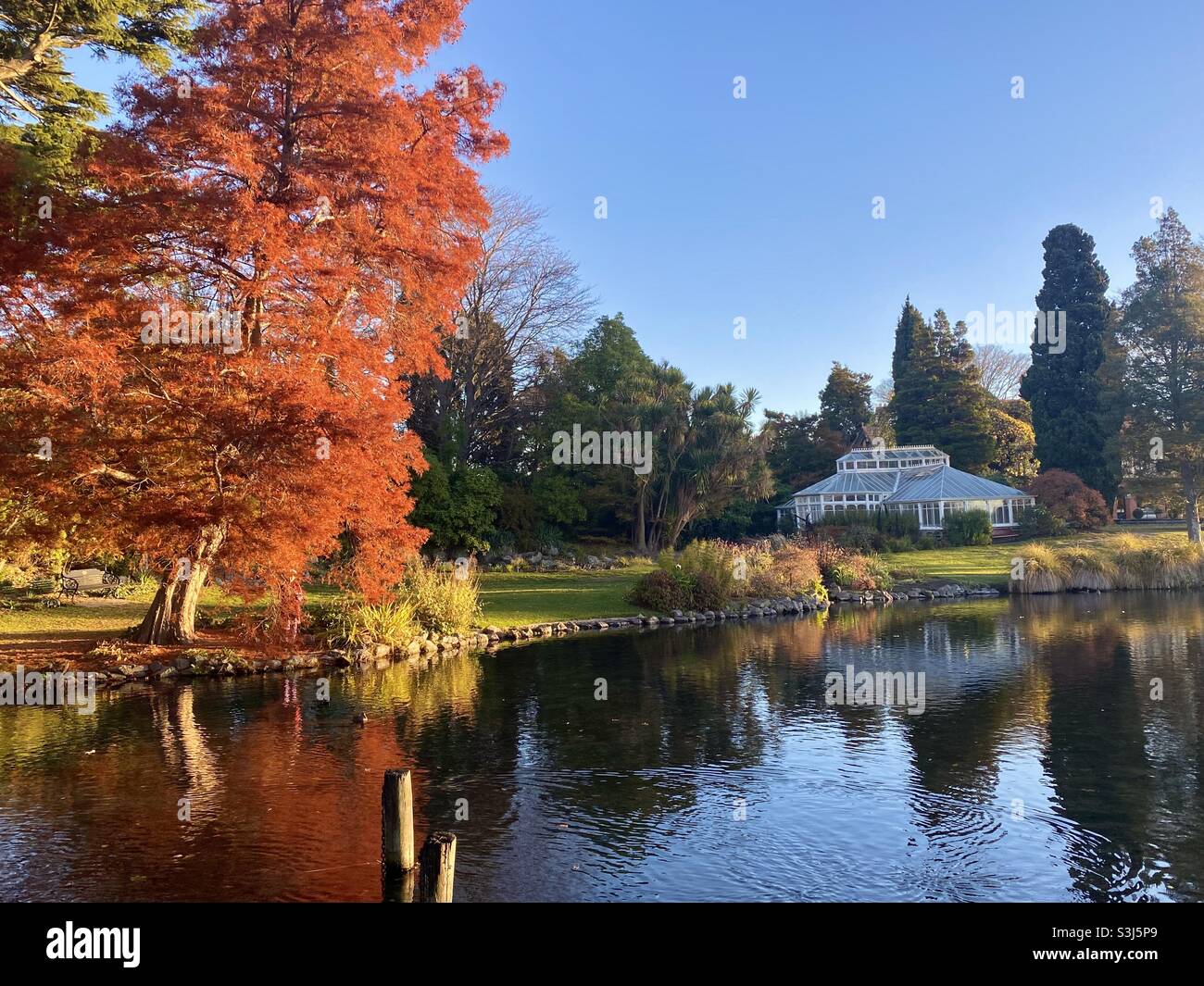 Mona vale hi-res stock photography and images - Alamy