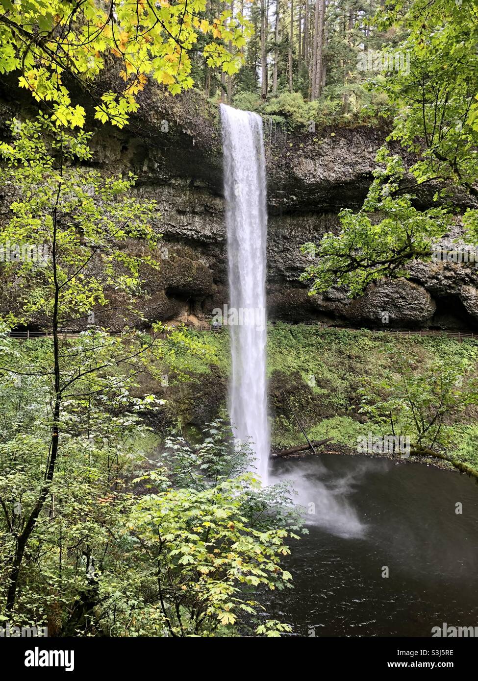 Silver Falls Oregon waterfall Stock Photo - Alamy