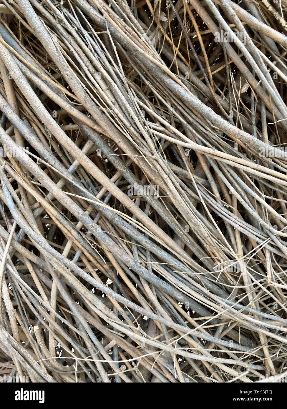 Wood and straw hut hi-res stock photography and images - Alamy