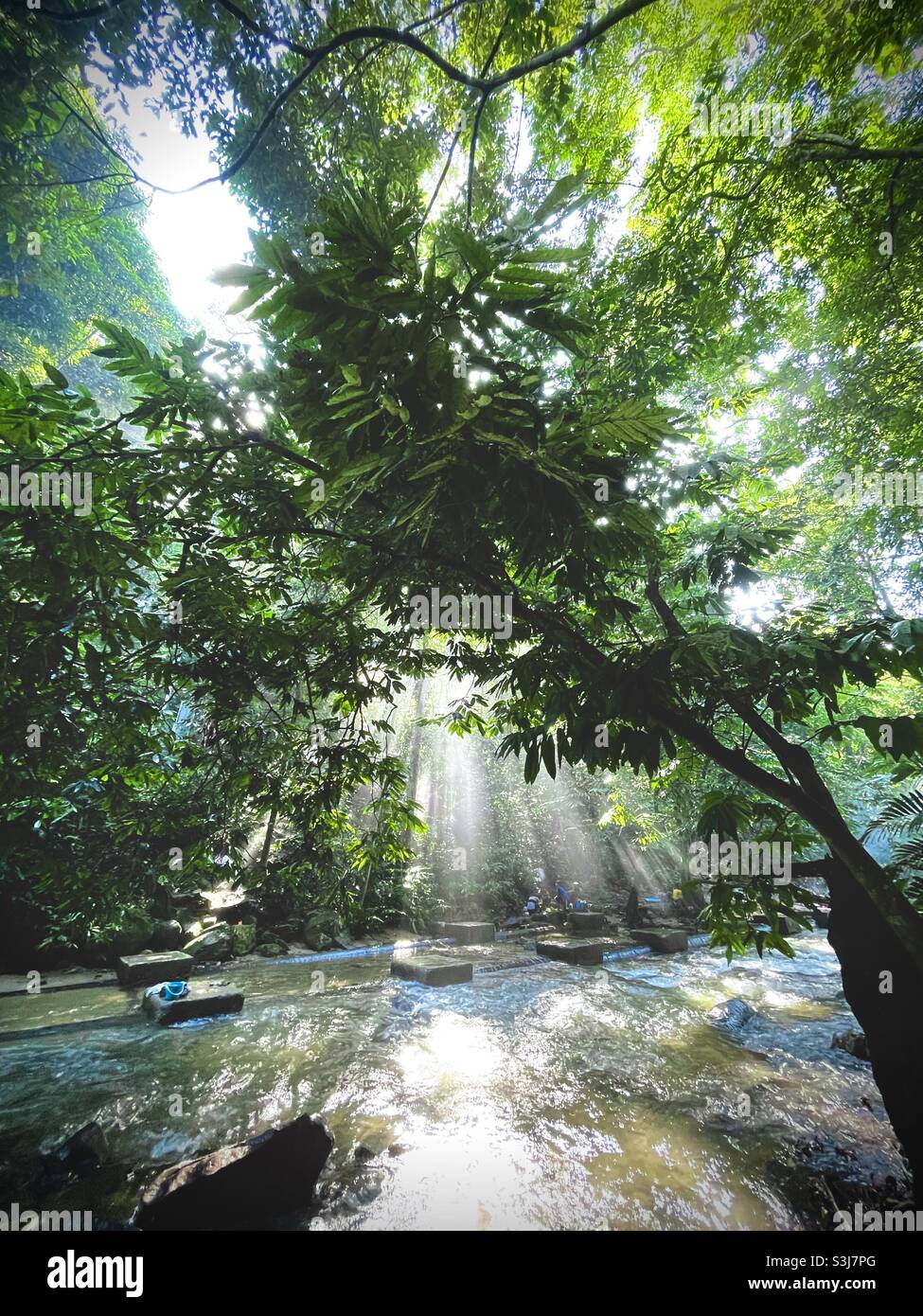 I go to nature to be soothed and healed, and to have my senses put in ...