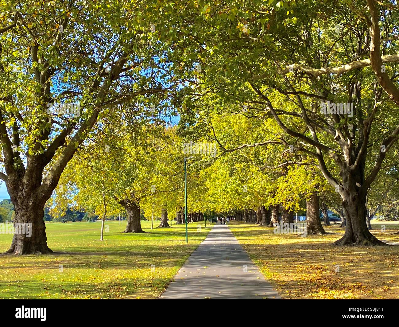 Hagley park new zealand hi-res stock photography and images - Alamy