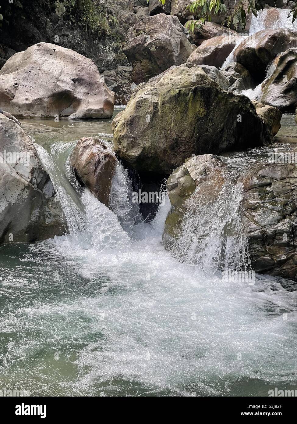 Stream water hi-res stock photography and images - Alamy