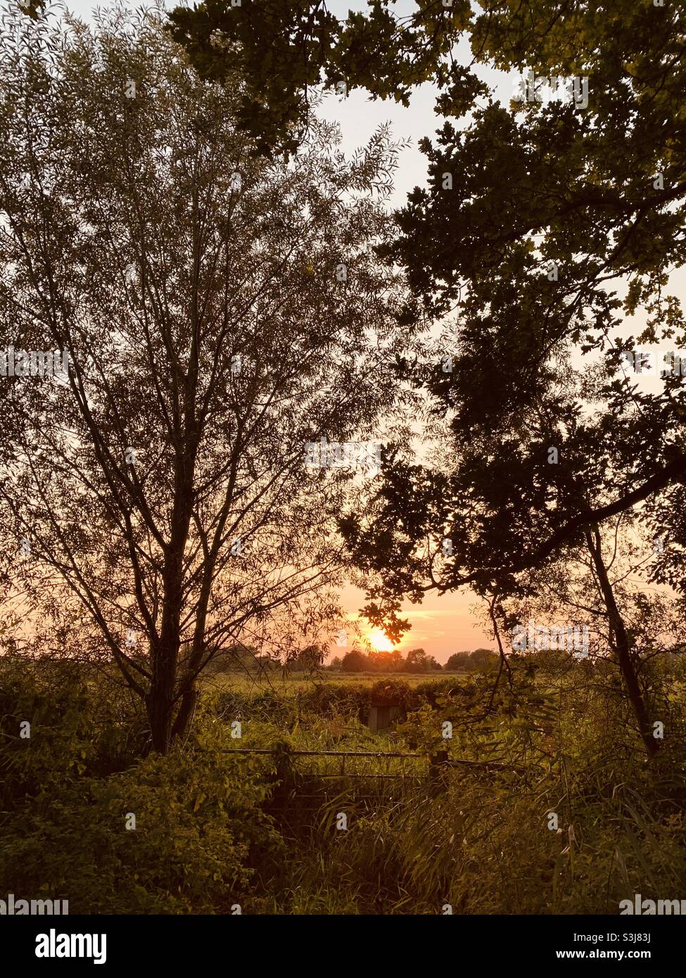 Norfolk broads autumn hi-res stock photography and images - Alamy