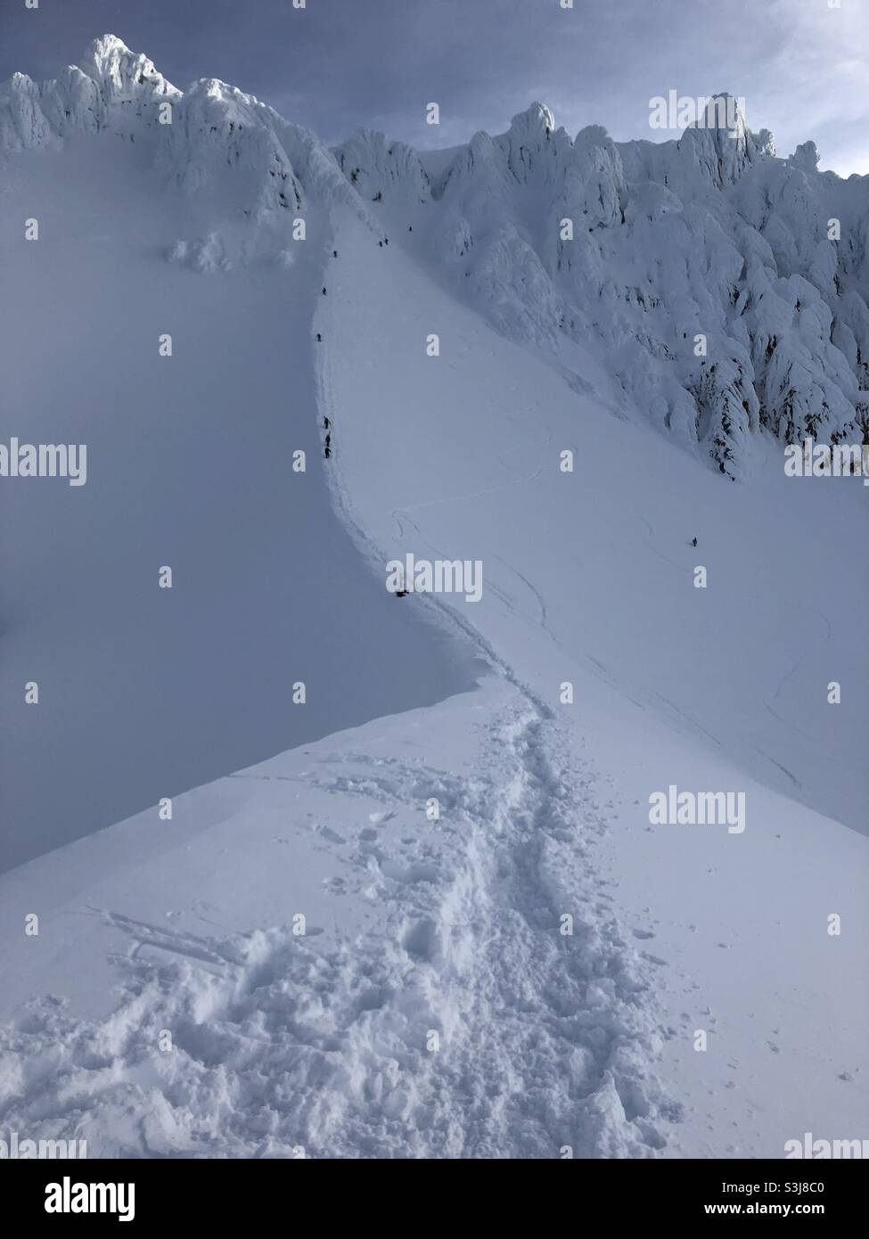 Climbers going up the Hogsback on Mount Hood Stock Photo - Alamy