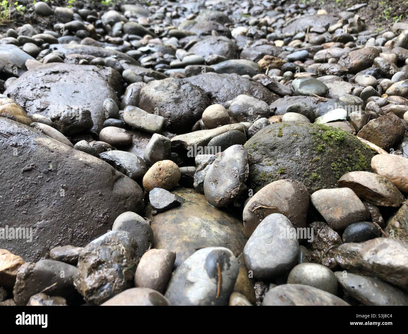 Wet bed hi-res stock photography and images - Alamy