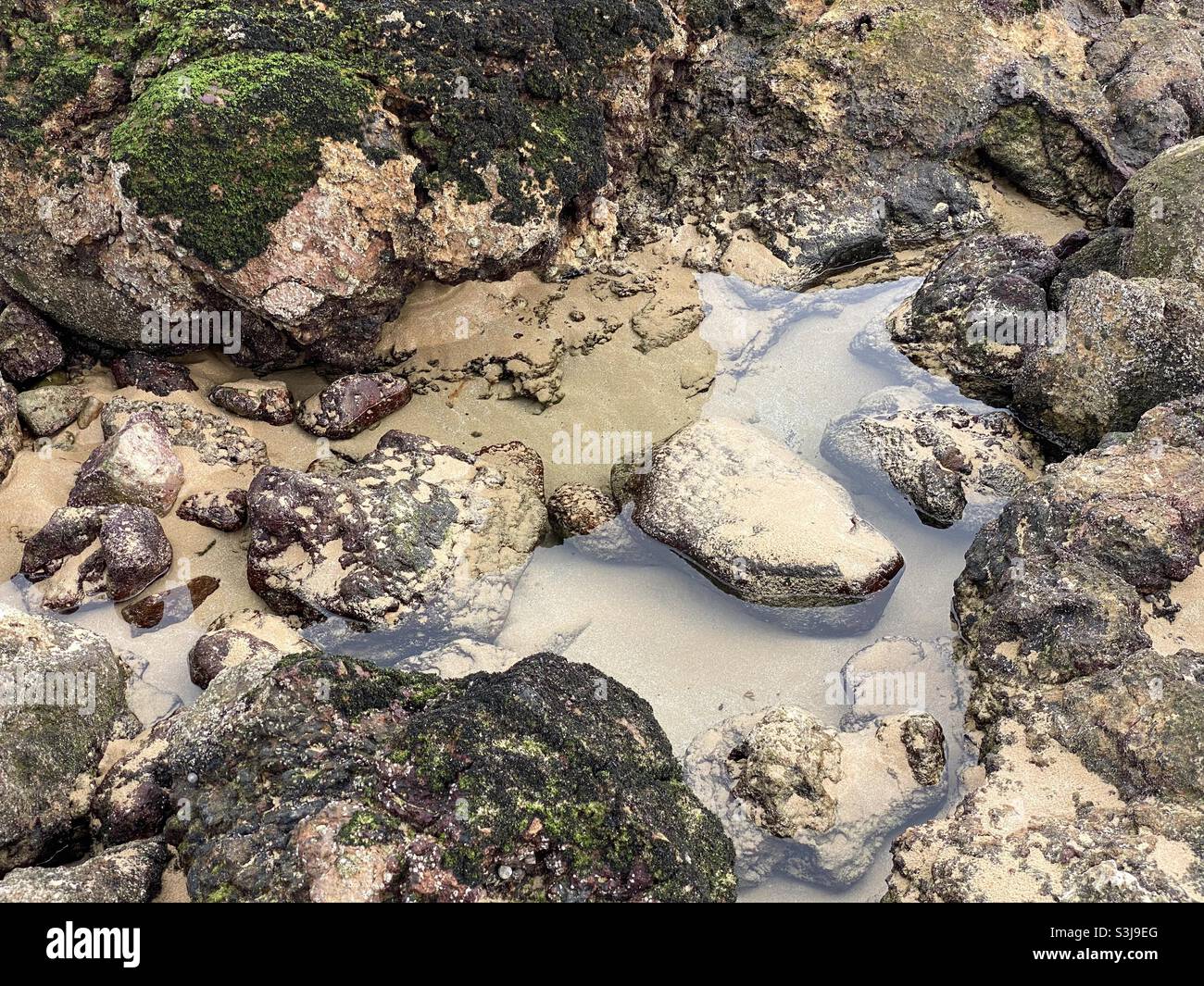 Tidal rock pool Stock Photo - Alamy