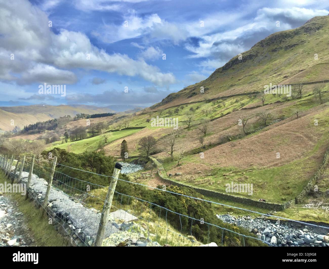 Spring in the English Lake District Stock Photo - Alamy