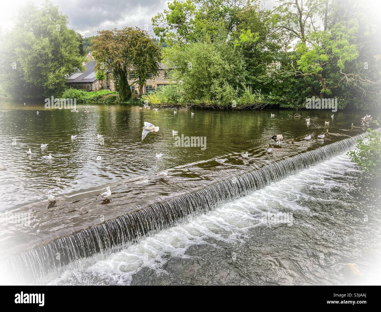 The weir at Bakewell on the River Wye Stock Photo - Alamy