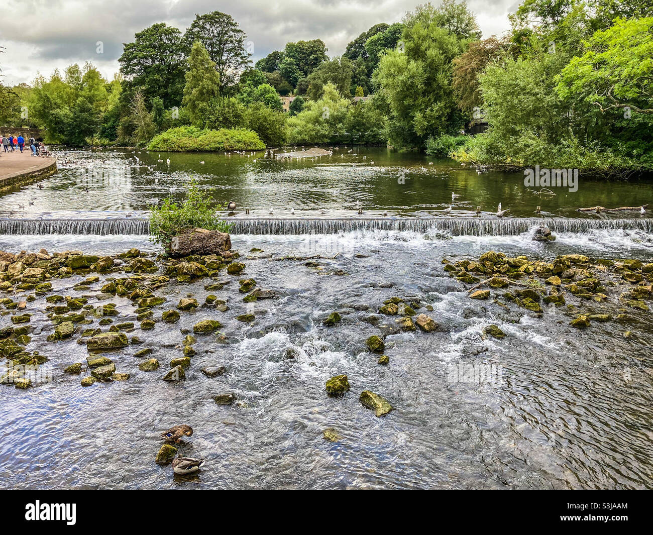 The Weir at the River Wye in Bakewell, Derbyshire Peak District Stock ...