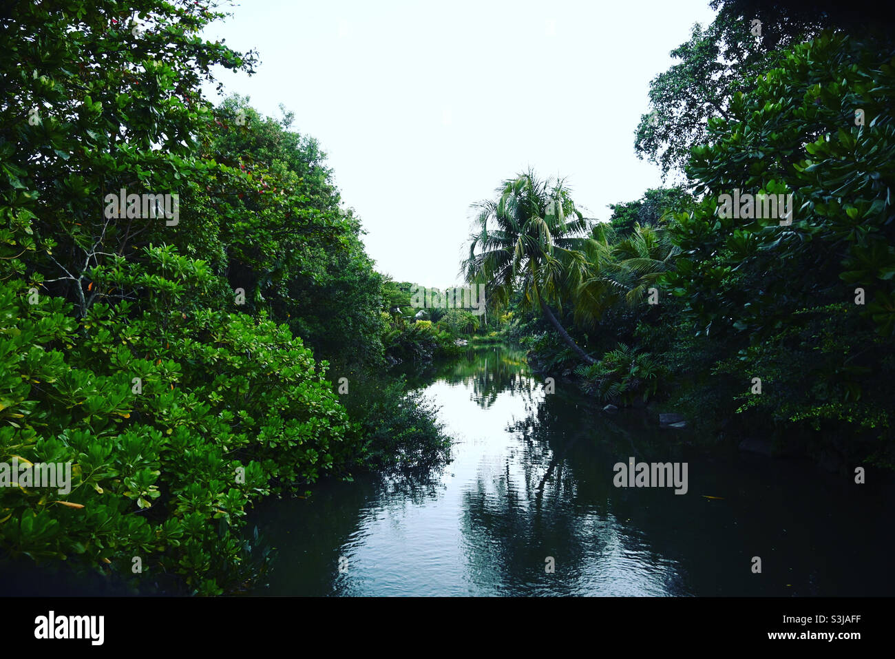 Existing in nature hi-res stock photography and images - Alamy