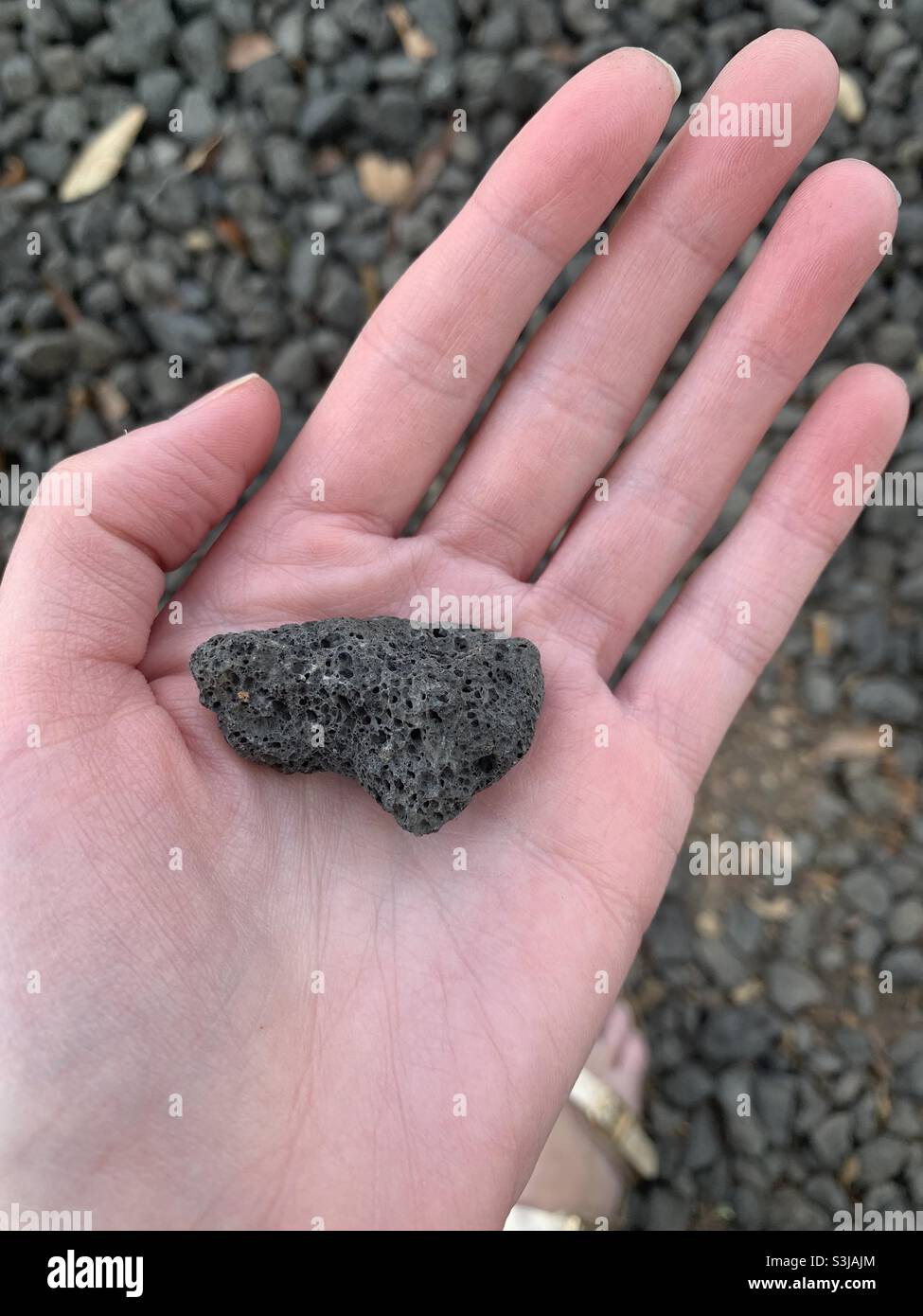 Hand holding pebbles hi-res stock photography and images - Alamy