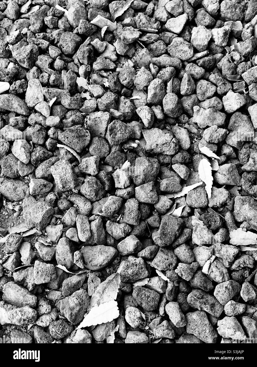 Pebbles and rocks Stock Photo - Alamy