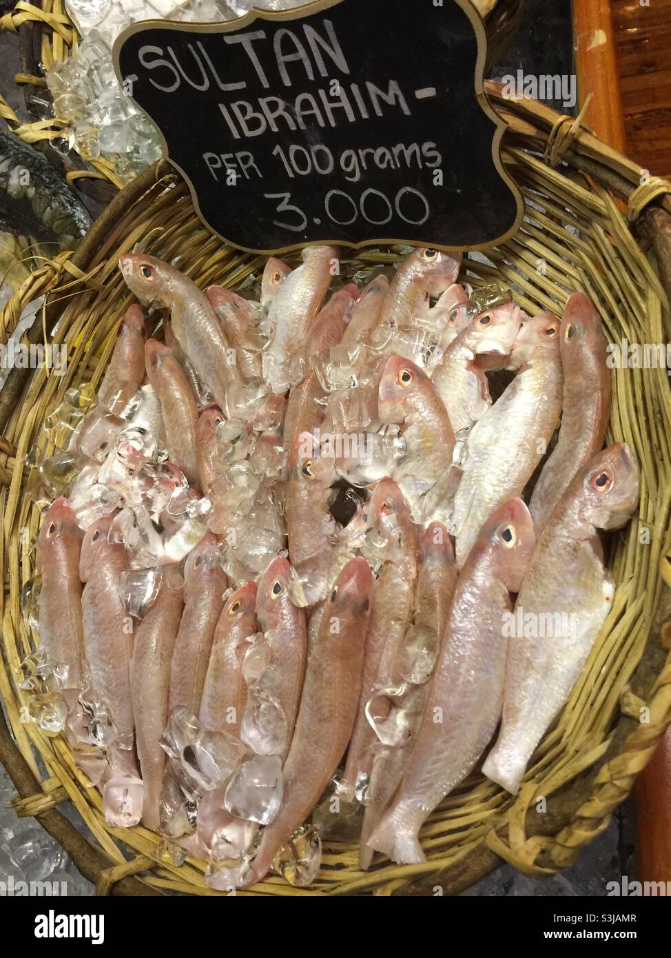 Sultan fish hi-res stock photography and images - Alamy